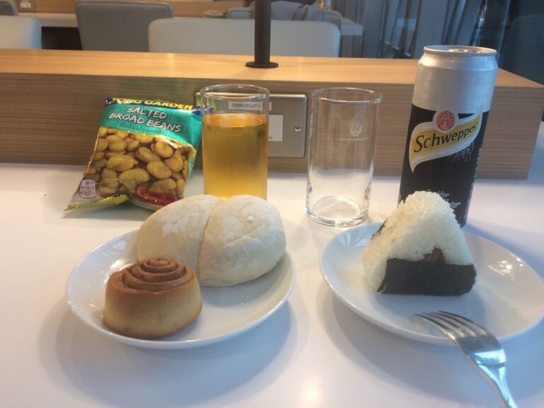 I have flown (and ranked) every One World Member Airline - Wild About ...