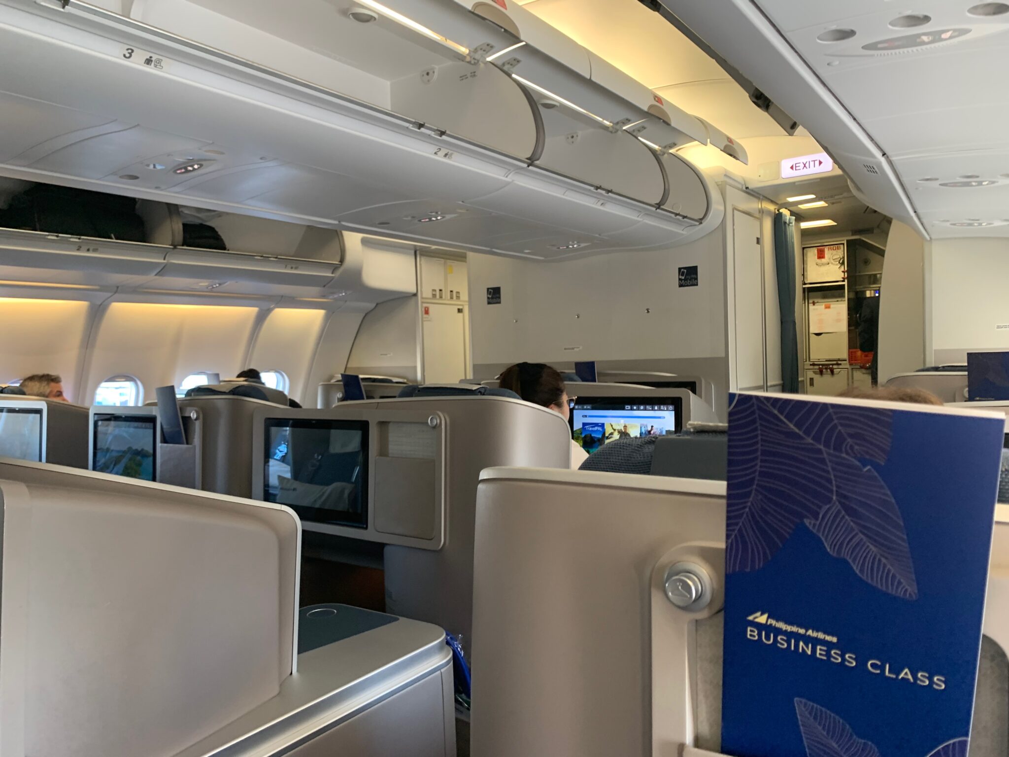 Pleasant Surprise: A Comprehensive Review of Philippine Airlines ...